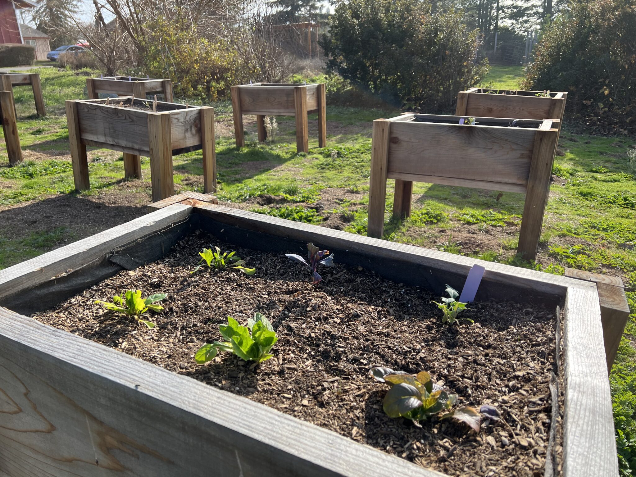 Farm to Table Project - TLC Child & Family Services